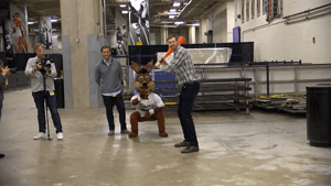 Matt Bonner Retired Player GIF by NBA - Find & Share on GIPHY