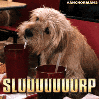 Anchorman 2 Gif Doby