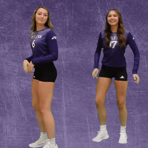 2021 Volleyball GIFs on GIPHY - Be Animated