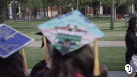 University Of Oklahoma GIF - Find & Share on GIPHY