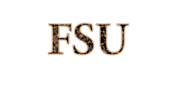 Glitter Fsu Sticker by Florida State University for iOS & Android | GIPHY