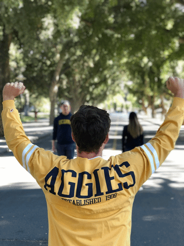 Aggie-heroes GIFs - Get the best GIF on GIPHY