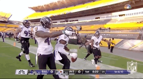 7 Best GIFs from the Steelers-Ravens Game! by Sports GIFs | GIPHY
