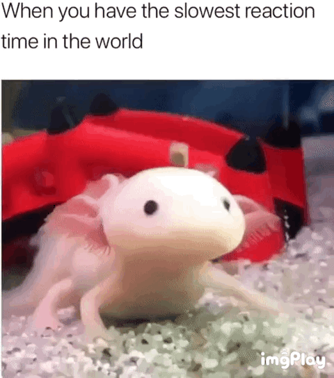 Reaction-time GIFs - Get the best GIF on GIPHY