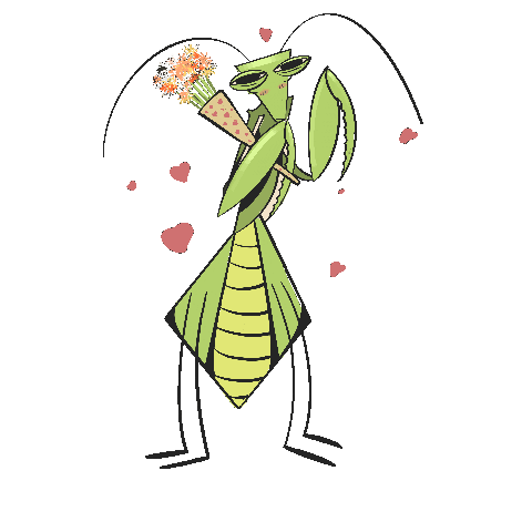 Mantis Religiosa Love Sticker by Puerto Candelaria for iOS & Android ...
