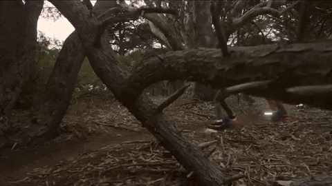 Electric-cyclery-onewheel GIFs - Get the best GIF on GIPHY