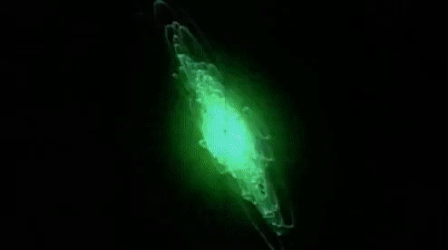 D-Generation X Wrestling GIF by WWE - Find & Share on GIPHY