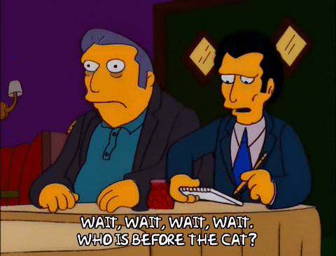 Cat-wait GIFs - Get the best GIF on GIPHY