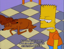 Sus Dog GIFs - Find & Share on GIPHY