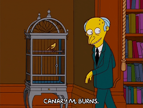 Canary GIFs - Find & Share on GIPHY