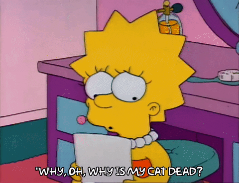 Cat-dead GIFs - Get the best GIF on GIPHY