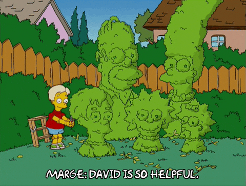 Trimmed Bushes GIFs - Get the best GIF on GIPHY