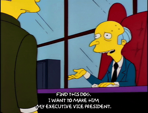 Executive GIFs - Get the best GIF on GIPHY