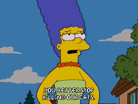 Kill Cat GIFs - Get the best GIF on GIPHY