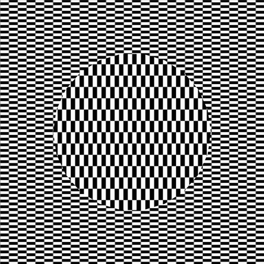 Op Art Monochrome by xponentialdesign | GIPHY