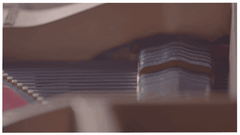Play That Song Fun GIF by Columbia Records - Find & Share on GIPHY