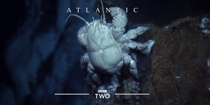 Bbc Two Ocean GIF by BBC - Find & Share on GIPHY