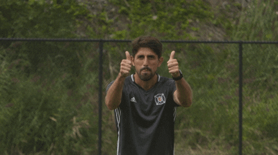 Pauno GIFs - Get the best GIF on GIPHY