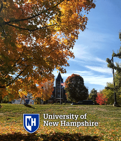 University Of New Hampshire GIFs - Get the best GIF on GIPHY