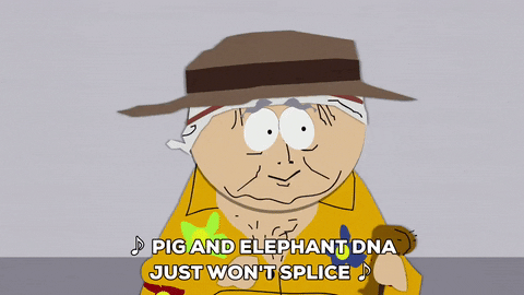 Pergamino GIFs - Get the best GIF on GIPHY