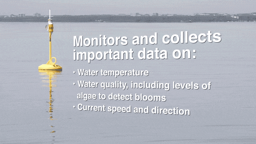 Water-quality GIFs - Get the best GIF on GIPHY