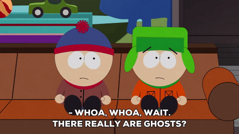 Confused Stan Marsh GIF by South Park - Find & Share on GIPHY
