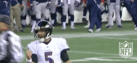 Baltimore Ravens Football GIF by NFL - Find & Share on GIPHY