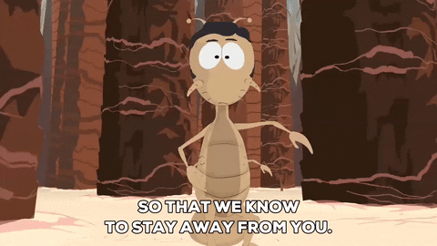 Flea GIFs - Get the best GIF on GIPHY