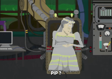 Questioning Looking GIF by South Park - Find & Share on GIPHY