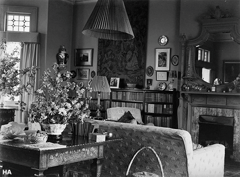 Auckland-museum-collections GIFs - Get the best GIF on GIPHY