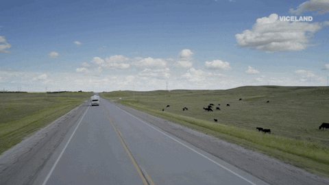Open Road GIFs - Get the best GIF on GIPHY