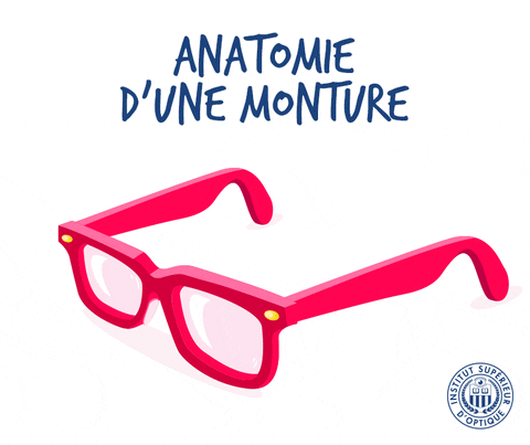 Etudes-superieurs GIFs - Get the best GIF on GIPHY