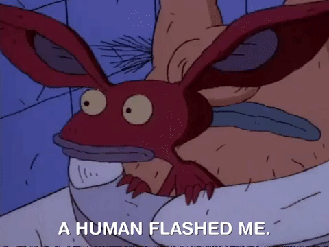 Flash Me GIFs - Get the best GIF on GIPHY