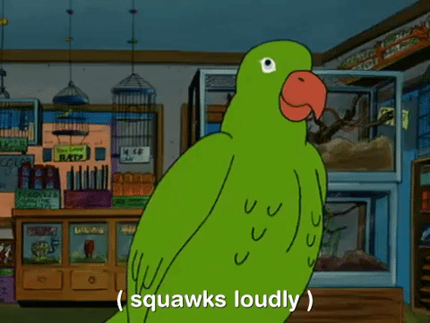 2 Birds GIFs - Get the best GIF on GIPHY