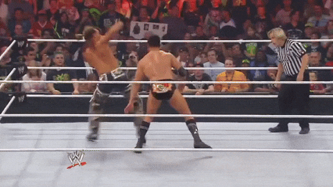 Hbk Shawn Michaels Blow Job GIFs - Get the best GIF on GIPHY
