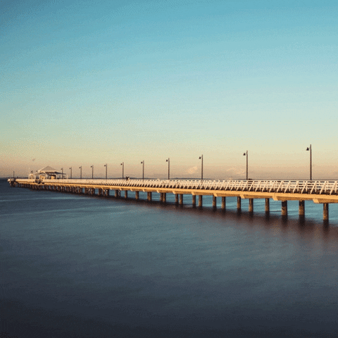 Nicolas GIFs - Get the best GIF on GIPHY