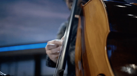 Cello GIF by Waitress The Musical - Find & Share on GIPHY