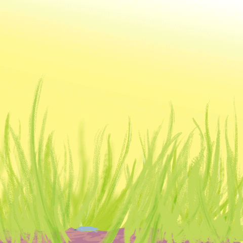 Life Cycle GIFs - Find & Share on GIPHY