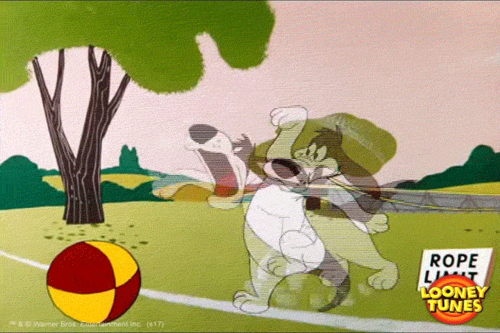 Dog Chasing Ball GIFs - Get the best GIF on GIPHY