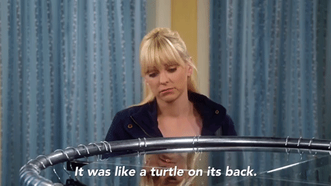 On Its Back GIFs - Get the best GIF on GIPHY