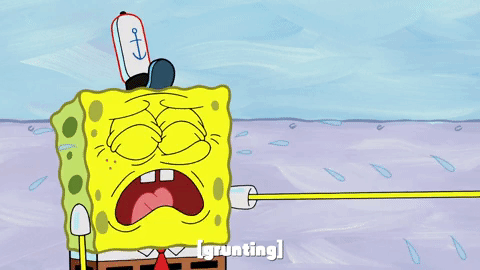 Season 9 GIF by SpongeBob SquarePants - Find & Share on GIPHY