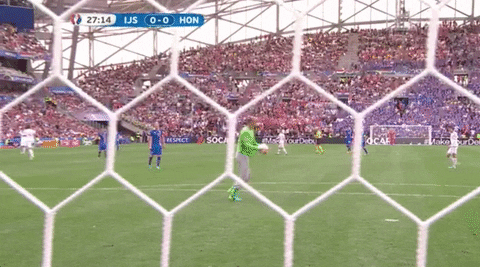 Djizak GIFs - Get the best GIF on GIPHY