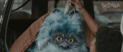 Yoshua GIFs - Get the best GIF on GIPHY