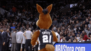 Spurs-mascot GIFs - Get the best GIF on GIPHY