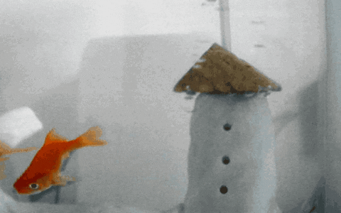 Time Displacement GIFs - Get the best GIF on GIPHY