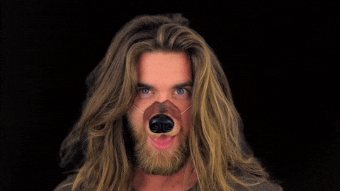 Dog-filters GIFs - Get the best GIF on GIPHY