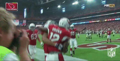Arizona Cardinals Football GIF by NFL - Find & Share on GIPHY