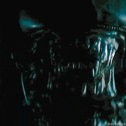 Alien Xenomorph Gif