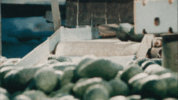 Hungry Food GIF by Chipotle Mexican Grill - Find & Share on GIPHY