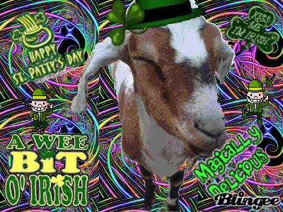 Im-irish GIFs - Get the best GIF on GIPHY